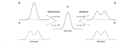Deterministic Vs Stochastic Evolutionary Dynamics Of The