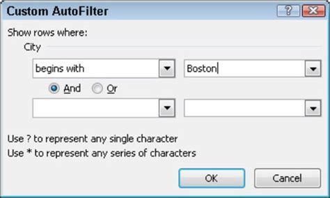 how to create custom autofilters for text in excel 2010 dummies