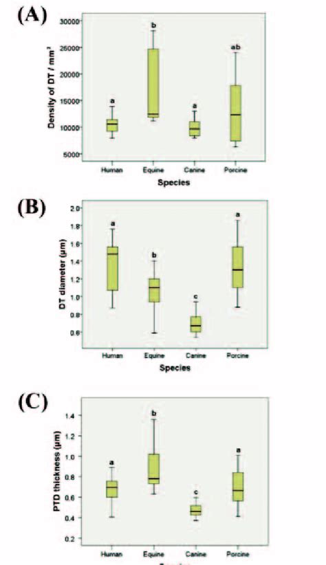 Box Plots Show Median Upper And Lower Quartiles And The Range Of