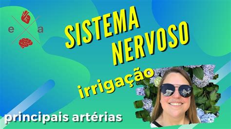 20 Artérias Do Encéfalo Anatomia Do Sistema Nervoso Youtube
