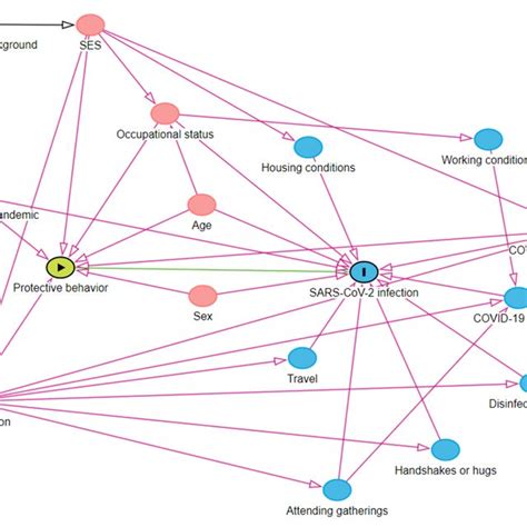 Directed Acyclic Graph Dag Of The Association Between Protective