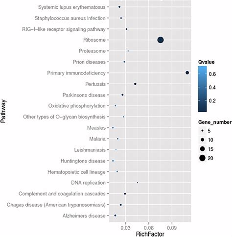 Kegg Annotation Of Differentially Expressed Genes Kegg Annotation