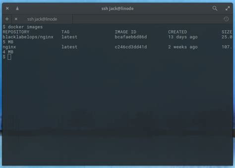 how to deploy an nginx container with docker on linode linode docs