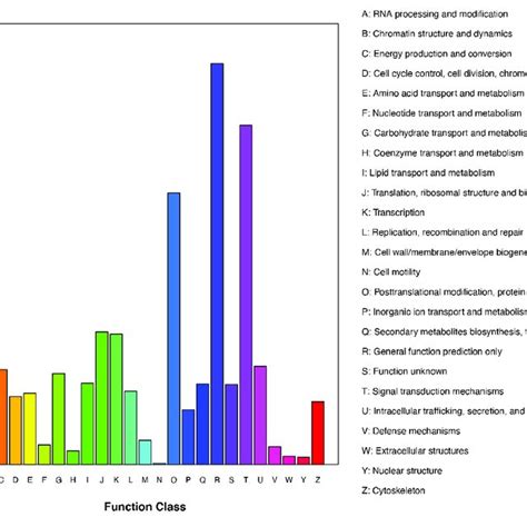 Kog Functional Classification Of Chrysanthemum Dichrum Unigenes