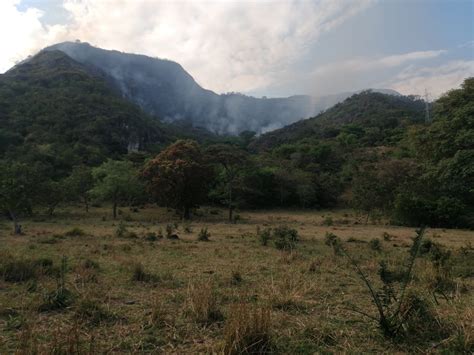 Incendio En Prado Tiene Afectadas 150 Hectáreas De Vegetación A La