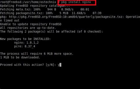 install nginx mariadb and php in freebsd 10 2