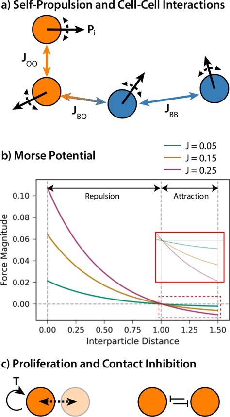 Figure 2 From Topological Data Analysis Of Spatial Patterning In