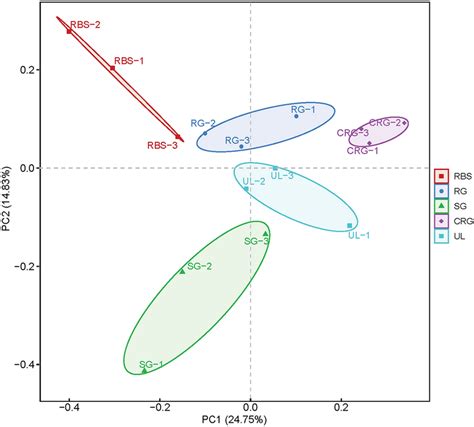 Principal Component Analysis Pca Of Bacterial Communities Based On