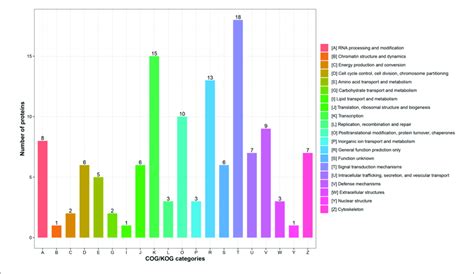 Clusters Of Orthologous Groups Of Protein Eukaryotic Orthologous