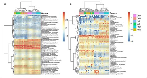 Heatmap Showing The Abundances Of The 50 Most Abundant A