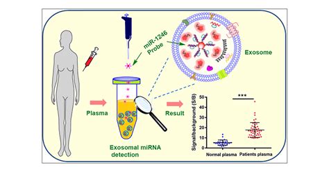In Situ Detection Of Plasma Exosomal Microrna 1246 For Breast Cancer