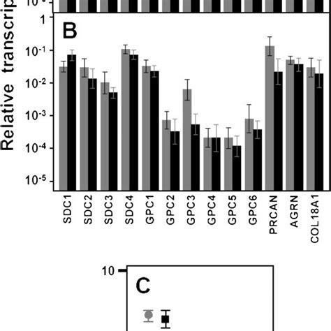 Differential Transcription Of Genes Encoding Hspgs A B Relative