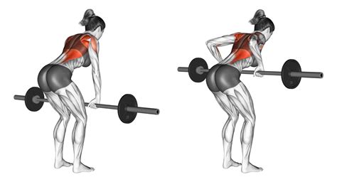 6 Best Types Of Barbell Row Variations With Pictures Inspire Us