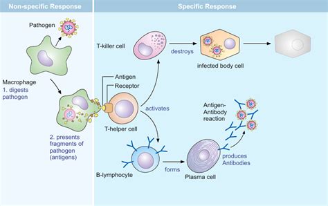 ernst klett verlag gmbh stuttgart