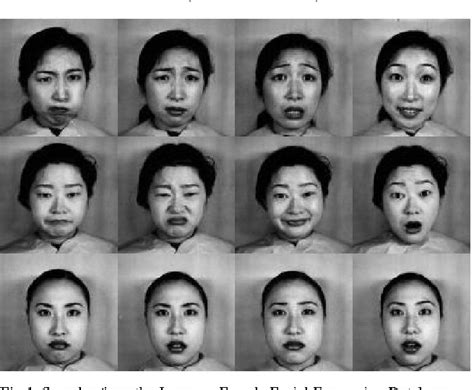 Figure 1 From Automatic Facial Expression Recognition Using Both Local