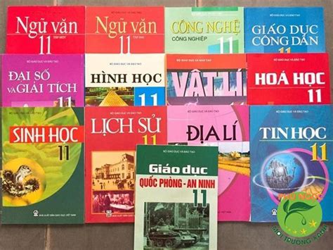 Top 6 Kiến Thức Lớp 11 Thi đại Học Mới Nhất Năm 2022 Kiến Thức Cho