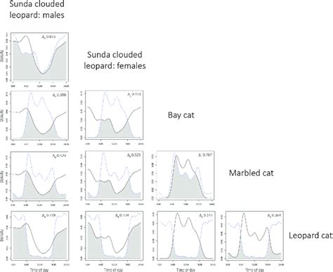 Overlaps Of Temporal Activity Patterns Between Bornean Wild Cat Species
