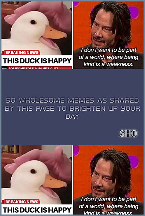 50 Wholesome Memes As Shared By This Page To Brighten Up Your Day Artofit