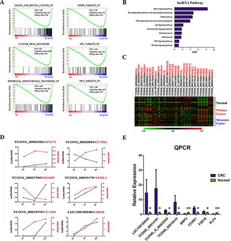 Oncotarget Integrated Analysis Of Long Non Coding Rnas In Human