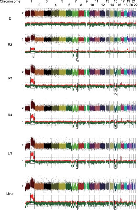 Results Of Snp Array Analysis In Each Sample Colorful Dots At The Top