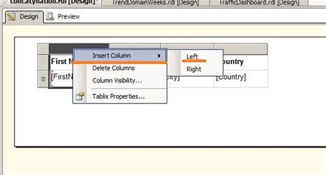 srinivasan software solutions [microsoft bi] concatenate