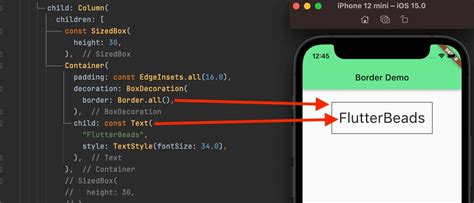 flutter container border customize radius and color [november 2023
