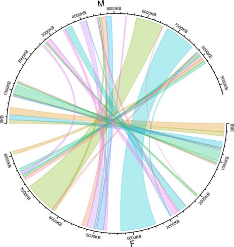 Circos Visualization Of Sequence Homology Between The Male And Female
