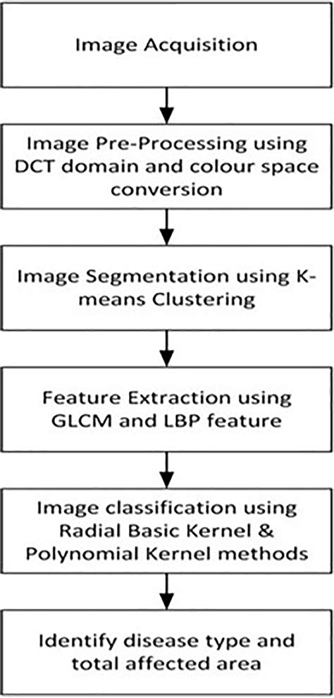 Cmc Free Full Text Plant Leaf Diseases Classification Using