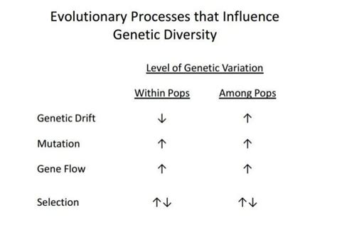 Intraspecific Variation