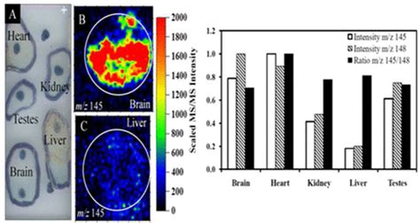 Identifying Tissue Specific Signal Variation In Maldi Mass