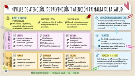 Niveles De Atencion Prevencion Y Atencion Primaria De La Salud