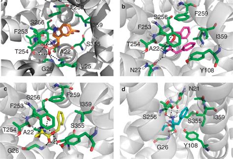 Binding Pose Of Compound 2 4 8 And 9 A Compound 2 Orange