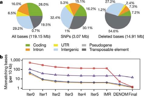 A Classification Of Sequence Snps And Indels In The 18 Sequenced