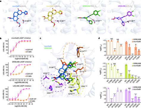 Ligand Specific Interactions With Kor A The Binding Poses Of
