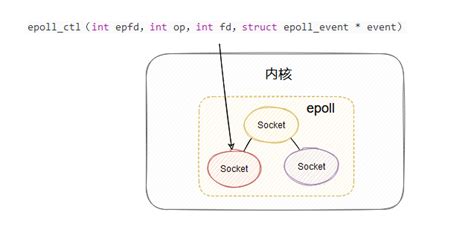 搞懂epoll和select和poll的区别 linux高并发网络编程 知乎