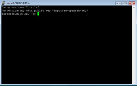 connect to an oracle cloud instance from windows using putty