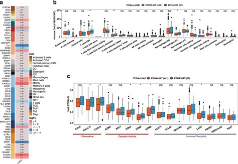 Epha5 Mutation Is Associated With A Unique Immune Response A Heatmap