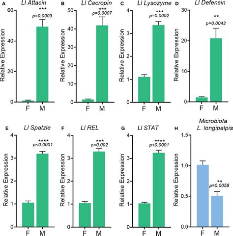 Frontiers Sexual Dimorphism In Immune Responses And Infection