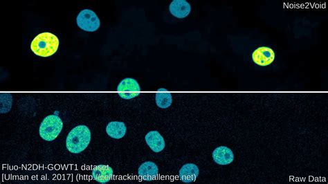noise2void learning denoising from single noisy images youtube