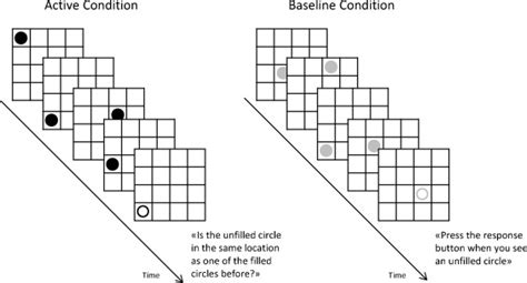 Active And Baseline Conditions Of The Visuospatial Working Memory Fmri