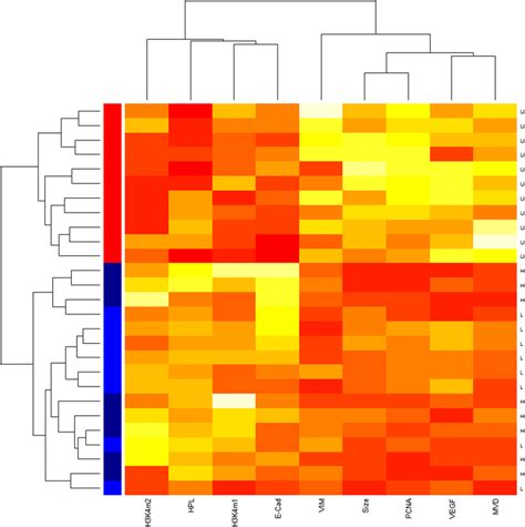 Hierarchical Clustering Heatmap Of Phenotypes Immunoreactivity