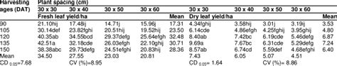 Interaction Effect Of Plant Spacing And Harvesting Age On Fresh Leaf Download Table