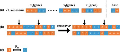 Binary Encoding And Genetic Operators A Parameters Are Converted To