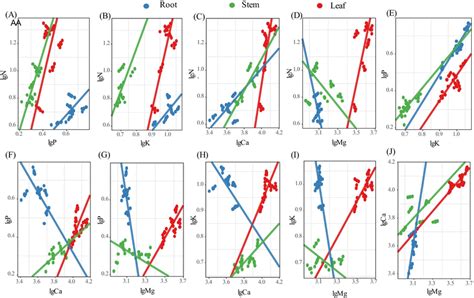 Allometric Relationships Among Macronutrients In Different Vegetative