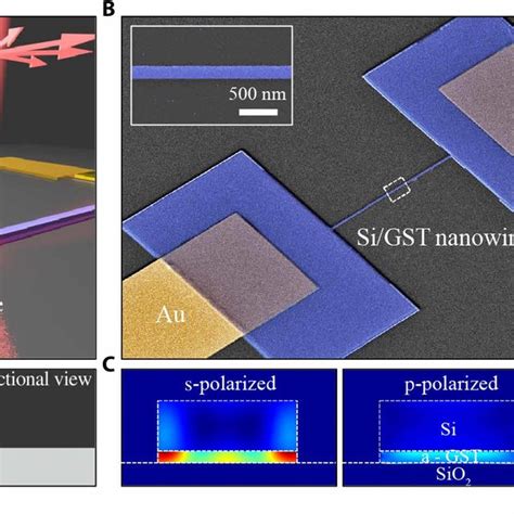 Polarization Selective Switching In A Had Nanowire A Schematic Top