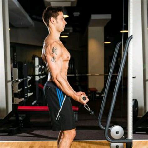 Cable Bicep Curls Par Evan Schaeffer Comment Faire De Lexercice