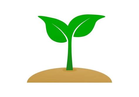 Plant Growth Icon Vector Art Icons And Graphics For Free Download