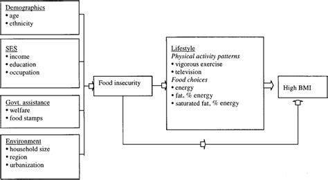 Conceptual Framework Of Food Insecurity And Its Relation To Overweight