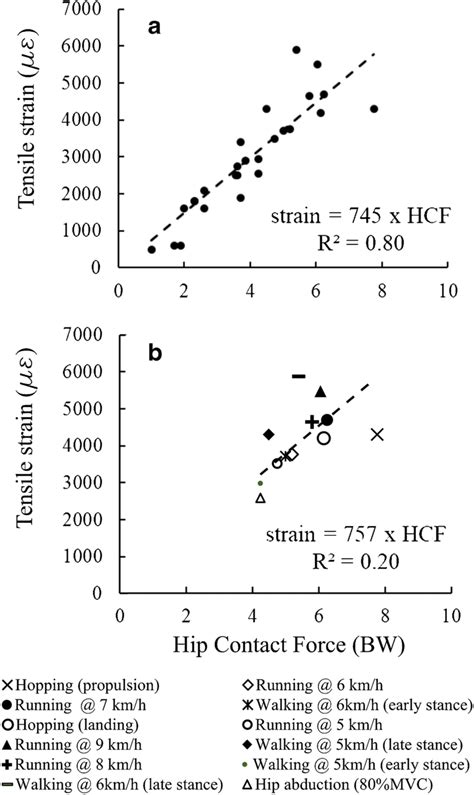 Linear Regression Analysis Between The Tensile Strain In The Superior