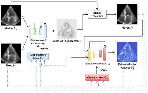 Learning Correspondences Of Cardiac Motion From Images Using